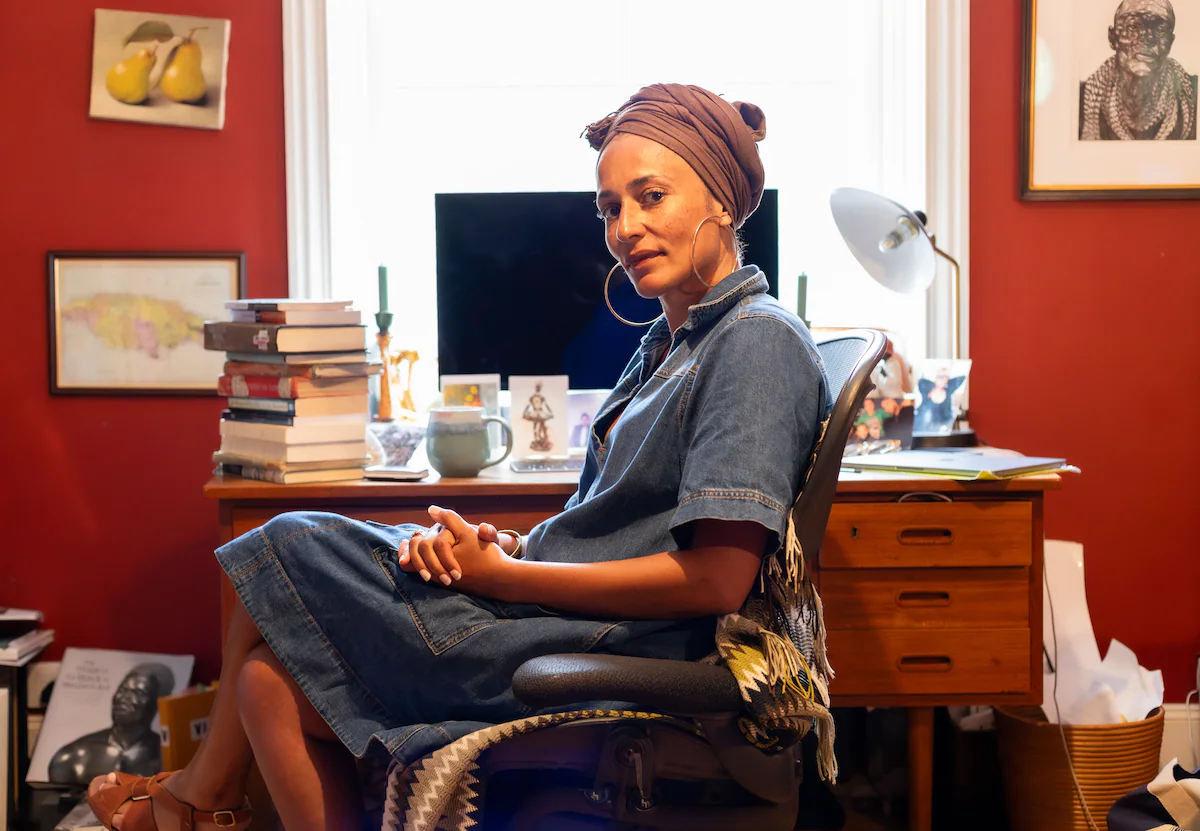 The Reading Chair : On Beauty by Zadie Smith - The Ironist